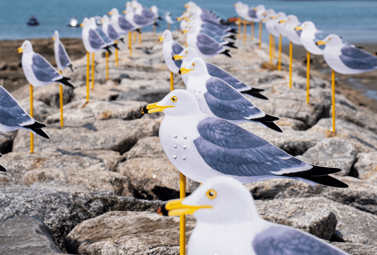 Sakushima Art Tour (Let's enjoy nature and art with your five senses ...