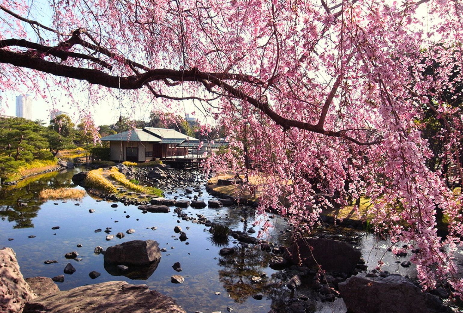 Sacred Serenity in Nagoya | Atsuta Shrine & Shirotori Garden Tour ...